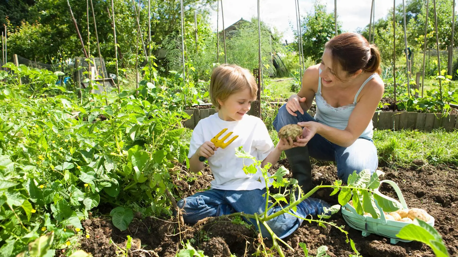Top 10 Gifts for Mothers Who Love Gardening | Beem