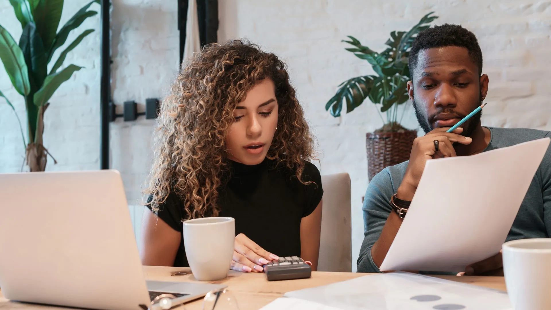 California State: Where's My Refund? - Best Guide 2024