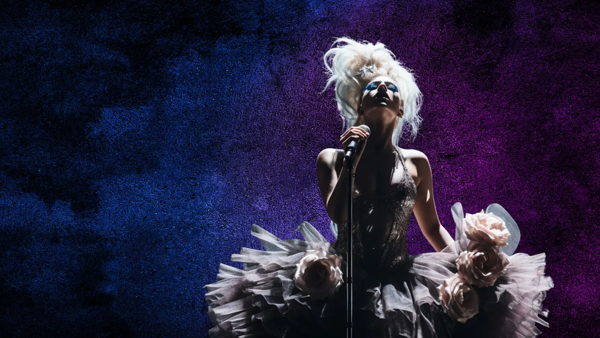 What is Lady Gaga's Net Worth