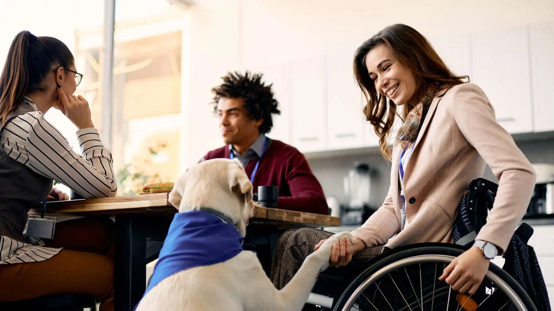How to Get a Free Service Dog: 5 Best Tips | Beem